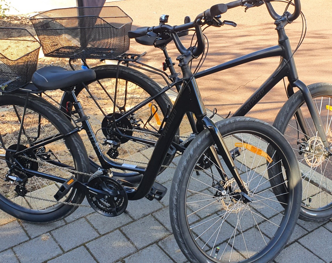 LCB Bike Hire fleet back in action - Life Cycle Bikes